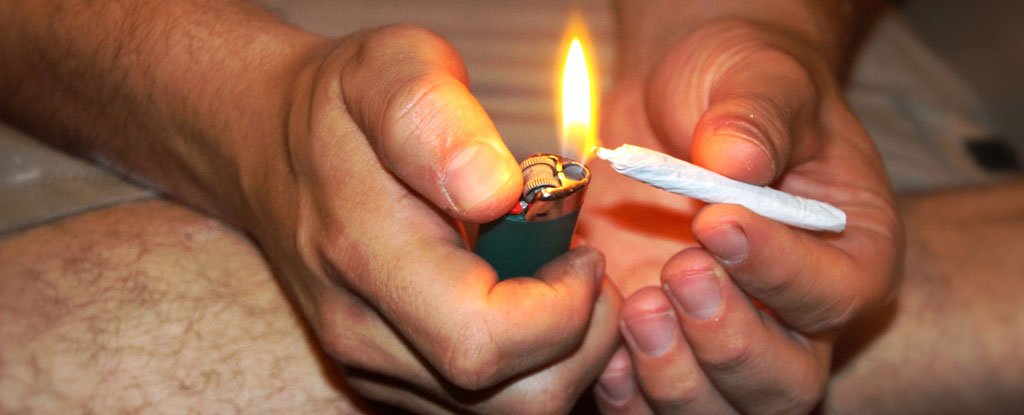 Scientists have found the cause of New York's recent drug-fuelled ... Scientists have found the cause of New York's recent drug-fuelled ...