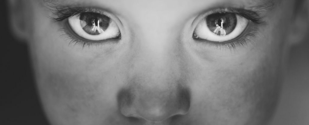 Staring into someone’s eyes for 10 minutes induces an altered state of ... Staring into someone’s eyes for 10 minutes induces an altered state of ...