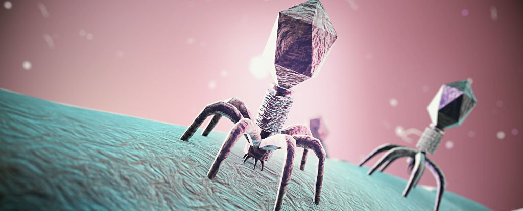 Are viruses alive? - ScienceAlert