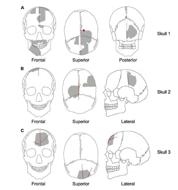 These 11,000 Year Old Carved Bones Are Evidence of an Ancient Skull ... These 11,000 Year Old Carved Bones Are Evidence of an Ancient Skull ...