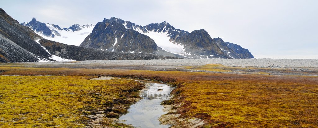 There's Worrying New Evidence That Arctic Soils Are Releasing Ancient ...