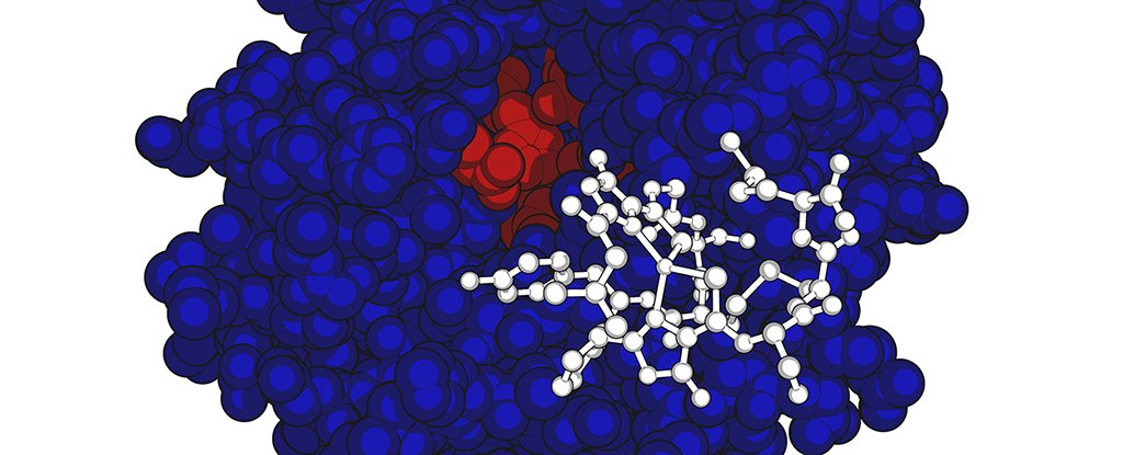 This Hungry Bacteria Could Help Clean Up Heavy Metals And Greenhouse ...