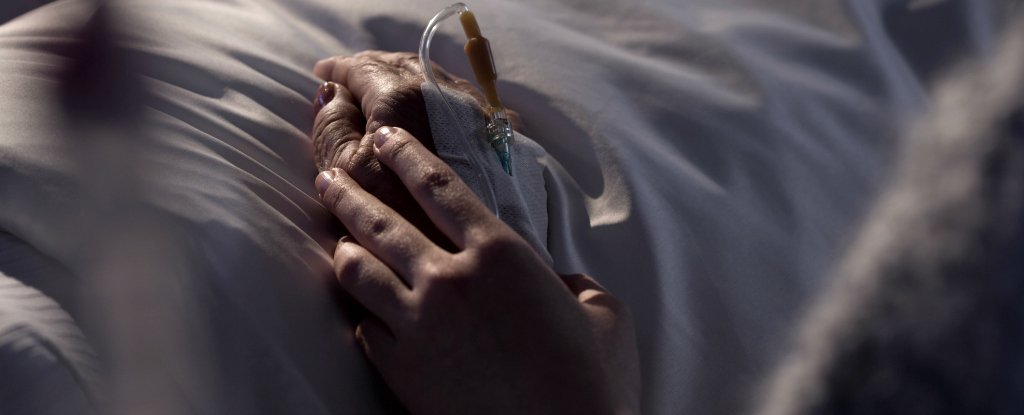 Scientists Have Reanimated Disembodied Pigs' Brains – But For a Human ...