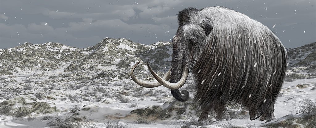 Could Resurrecting The Mammoth Help Stop Arctic Emissions? : ScienceAlert