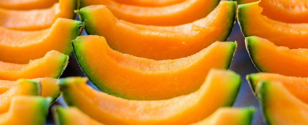 Salmonella in Melons Has Sickened at Least 60 People in Dangerous ...