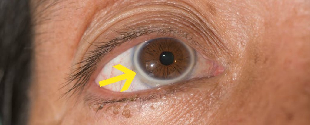 6 Unexpected Warning Signs That Could Indicate Your Heart Is in Trouble ...