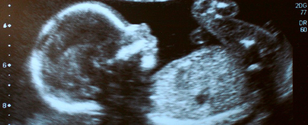 60 Years After The Thalidomide Crisis, We Finally Understand What Went ...