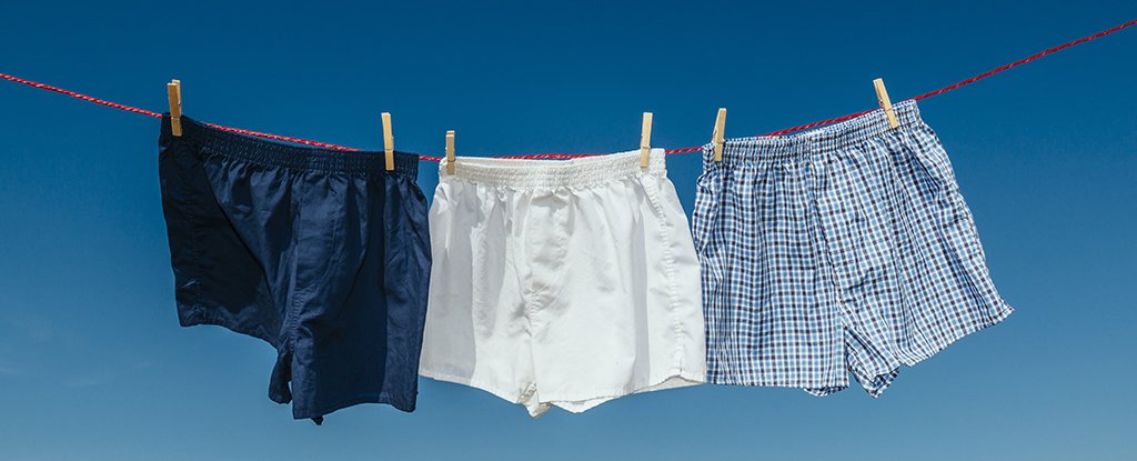 It's Official: The Science on Whether Boxers or Briefs Are Better For ...
