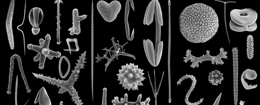 Mars Water Could Have Enough Oxygen to Support Life, Says New Study ...