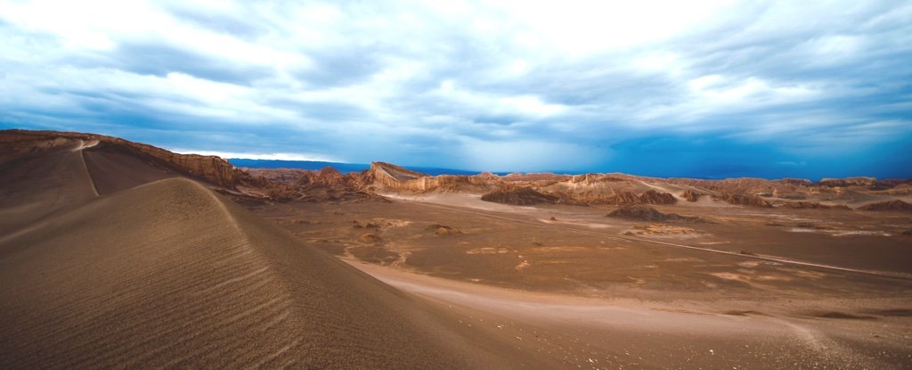 When It Rains in The Driest Desert on Earth, It Literally Brings Death ...