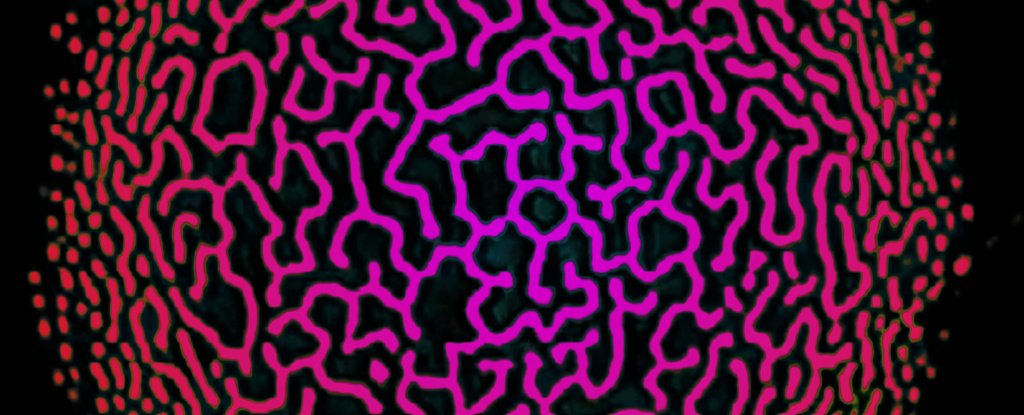 A Trippy Effect From The 1980s Could Finally Help Scientists Understand ...