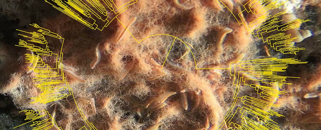 We May Have Just Discovered an Unexpected New Weapon Against Greenhouse ...