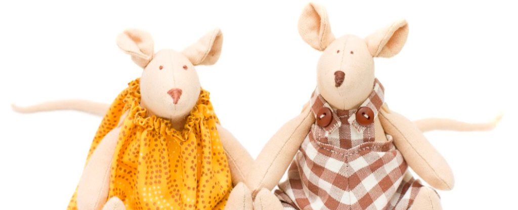 When It Comes to Monogamy, Mice Might Be More Like Us Than We'd Like to ...