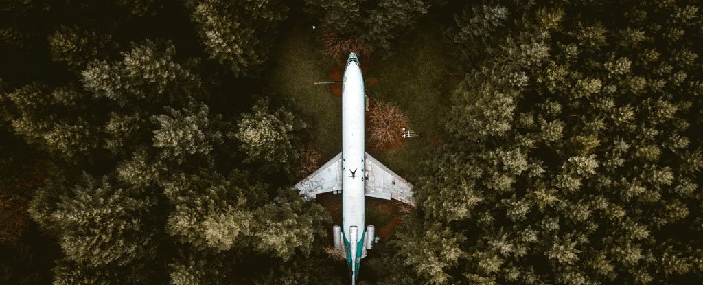 These Are The 10 Most Popular Scientific Papers Everyone Was Talking ...