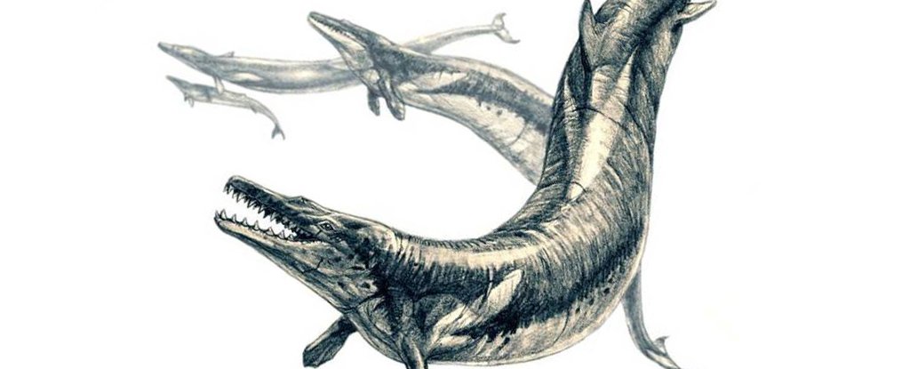 Scientists Discover The Remains of a Whale Inside a Bigger, Ancient ...