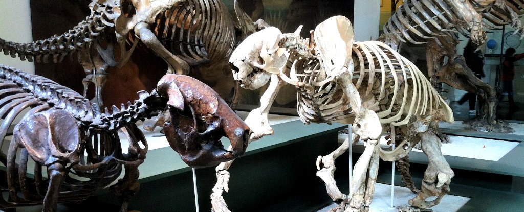 Humans Once Hunted And Slaughtered Giant Sloths, 12,000-Year-Old Knife ...