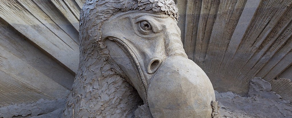 There's One Leading Cause of Recent Global Extinctions, And It Really ...