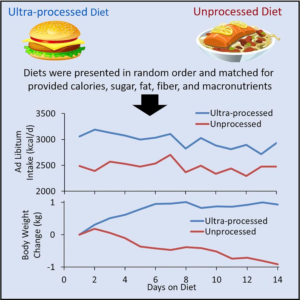 Two Major Studies Just Showed What a Processed Diet Can Do to Our ... Two Major Studies Just Showed What a Processed Diet Can Do to Our ...