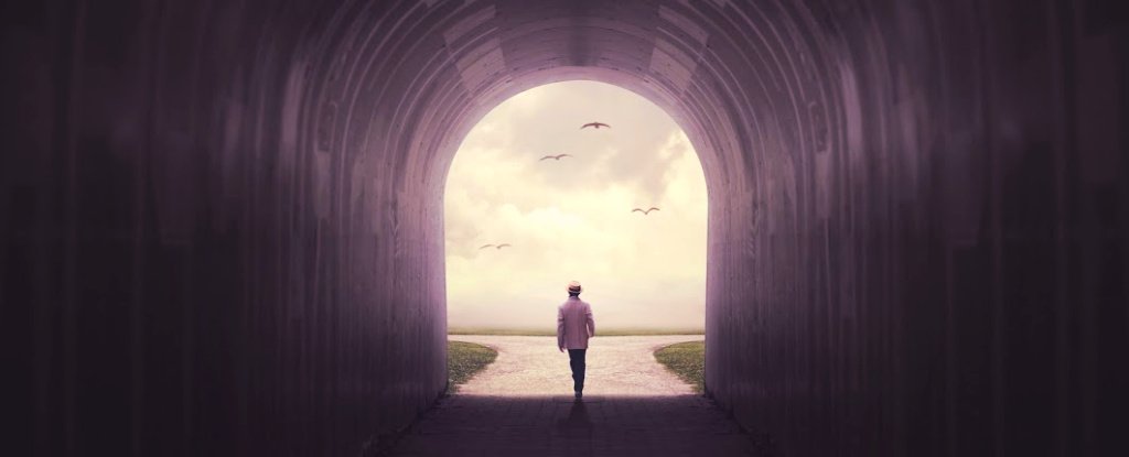 Brain Scans Show Our Bad Dreams Might Actually Help Us Face Fears in ...