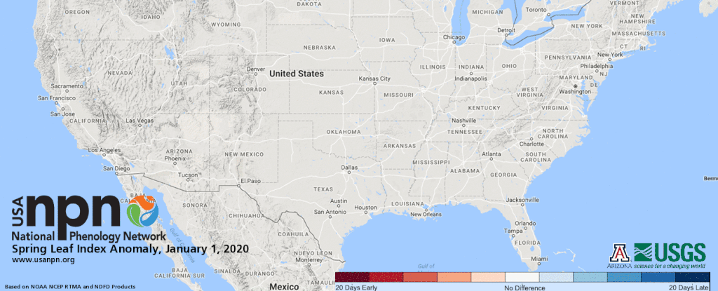 Spring Has Arrived Early in The US, And That's Not Necessarily a Good ...