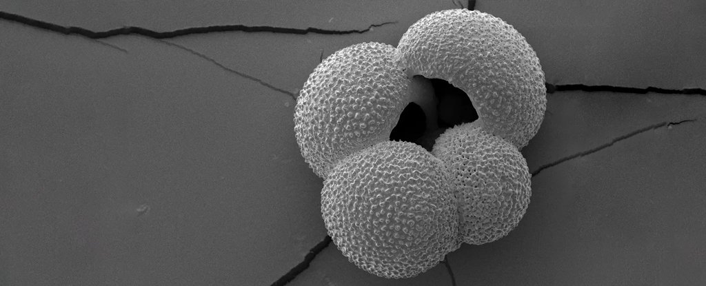 Seafloor Discovery Shows The Ocean's Undergoing a Change Not Seen in ...