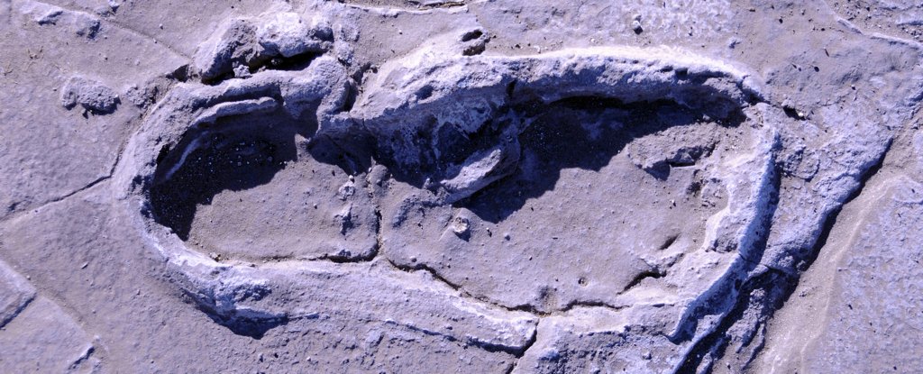 Ancient Footprints in Africa Just Delivered Unique Insights Into Early ... Ancient Footprints in Africa Just Delivered Unique Insights Into Early ...
