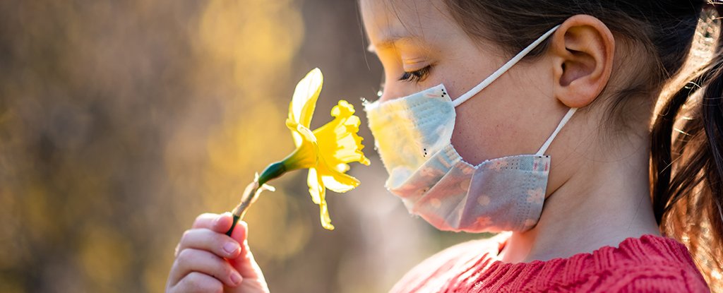 Why Does Coronavirus Cause People to Lose Their Sense of Smell ...