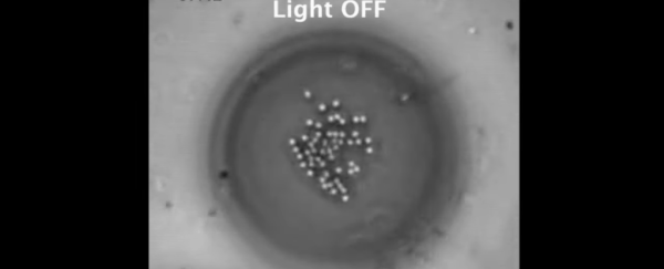 Physicists Demonstrate a Weird Effect Where Heating Particles Causes ...