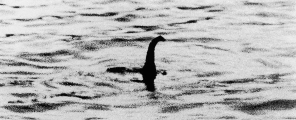 What Is The Loch Ness Monster? Here's What The Science Really Has to ...