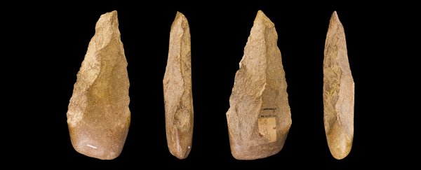 One of The Earliest Stone Tool Types Could Date Back 2.6 Million Years ...