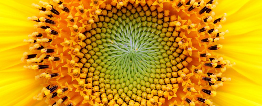 What If Math Is A Fundamental Part Of Nature Not Something Humans Came What If Math Is A Fundamental Part Of Nature Not Something Humans Came
