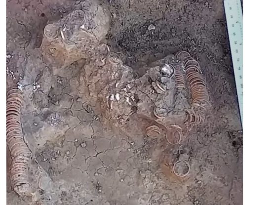 Extraordinary Trove of Ancient Gold Rings Discovered in Romanian Grave ...