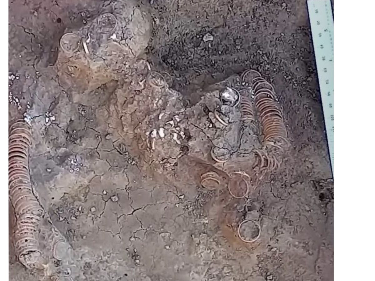 Extraordinary Trove of Ancient Gold Rings Discovered in Romanian Grave ...