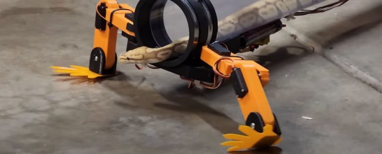 A Snake-Lover Built Robotic Legs For a Snake, And It's Insane ...