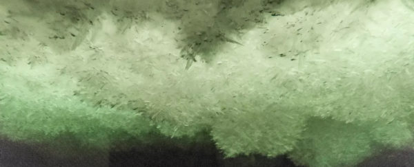 Jupiter's Ice Moon Europa Probably Has Upside Down, Underwater Snow ...