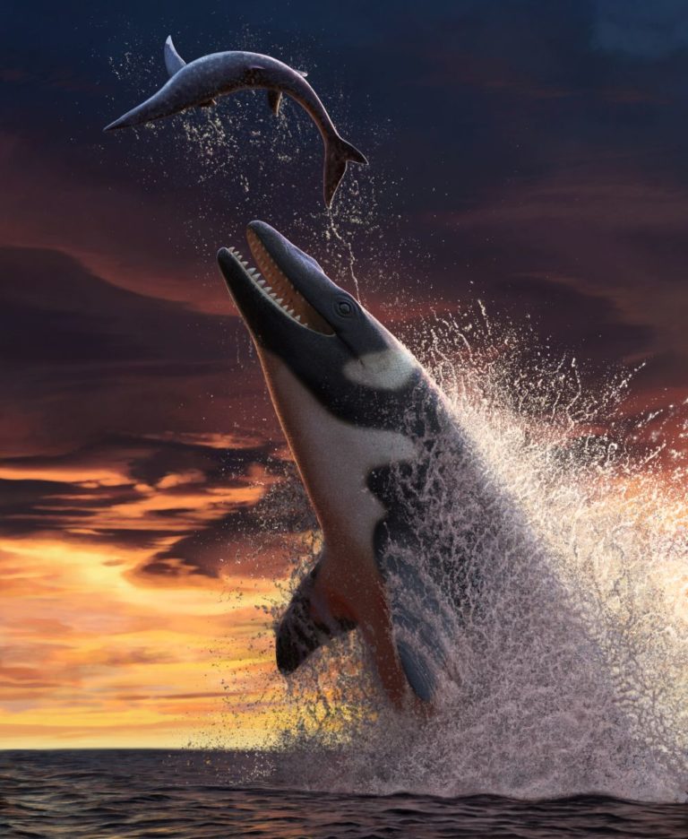 Incredible Fossil Reveals A Giant Lizard Who Ruled The Sea With Teeth ...