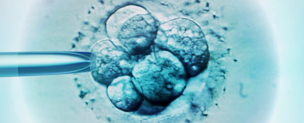 New Study Reveals The Safety of a Controversial 3-Parent Embryo ...