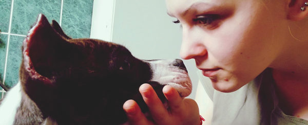 Your Body Smells When It's Stressed And Your Dog Can Sniff It Out ...