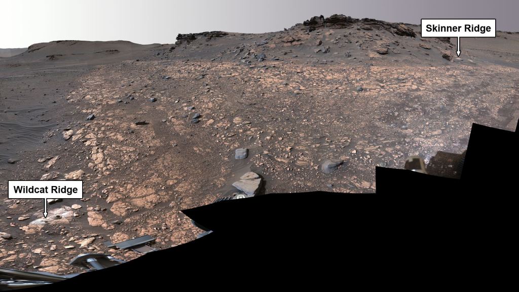 NASA Breakthrough as Rover Finds Strong Signal of Organic Matter on ...