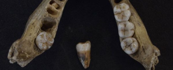 Oldest Human DNA in UK Reveals Ancient Peoples Emerging From The Ice ...