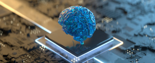 Study Suggests Spins of 'Brain Water' Could Mean Our Minds Use Quantum ...