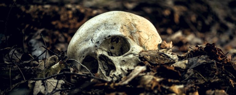 Death Comes For Everybody. Here's How to Make Yours Sustainable ...