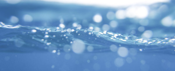 An Essential Step in The Evolution of Life on Earth Could Have Taken ...