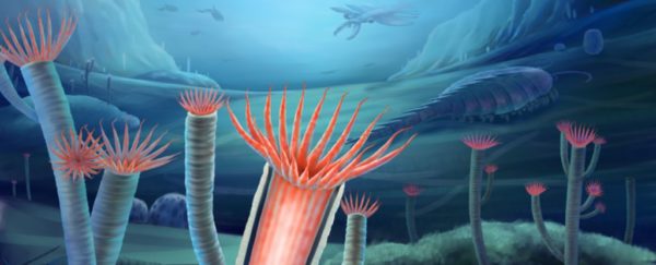 Incredible Discovery Has Finally Revealed The First Animals to Grow a ...