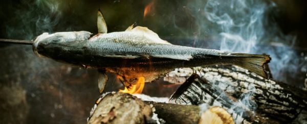 The Oldest Evidence of Ancient Humans Cooking With Fire Was Just Found ...