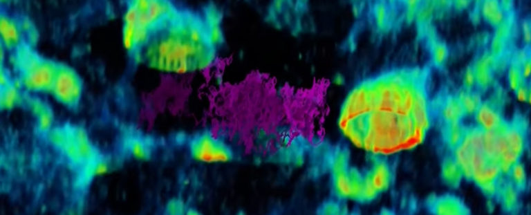 Scientists Record a Virus 'Prowling' Cells in Search of a Way Inside ...