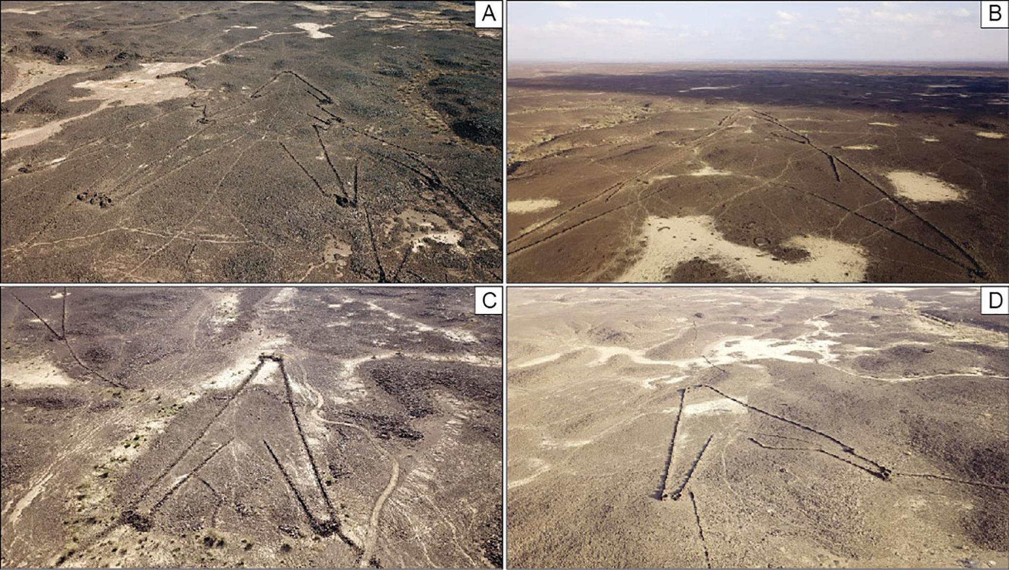 Mysterious Patterns Span The Arabian Desert, And We May Finally Know ...