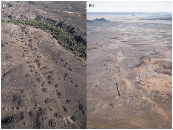 Mysterious Patterns Span The Arabian Desert, And We May Finally Know ...