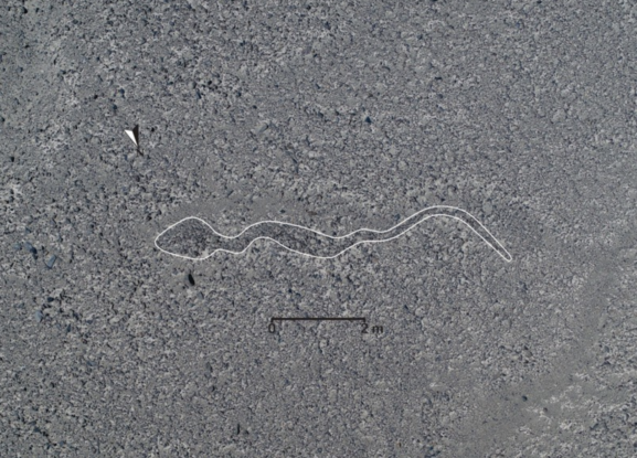 Scientists Discover 168 Mysterious Nazca Geoglyphs in The Desert Sands ...