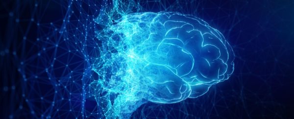 Mysterious 'Zone of Uncertainty' Inside The Brain Reveals a Surprise ...